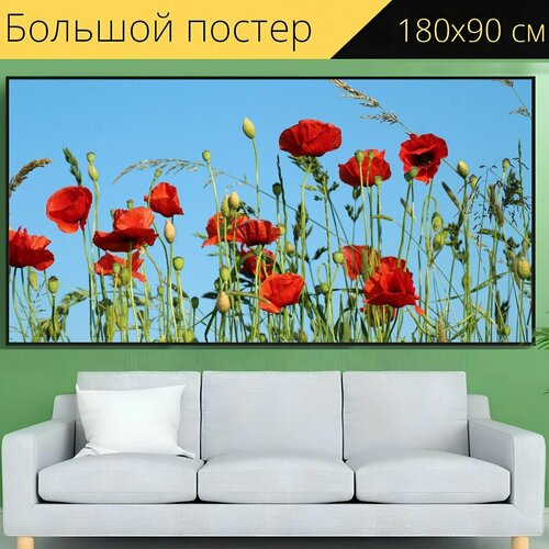 Большой постер "Маки, полевые цветы, красный" 180 x 90 см. для интерьера