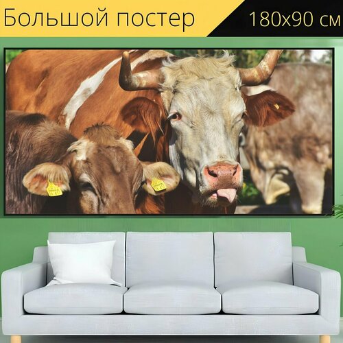 Большой постер "Бык, корова, бычий" 180 x 90 см. для интерьера