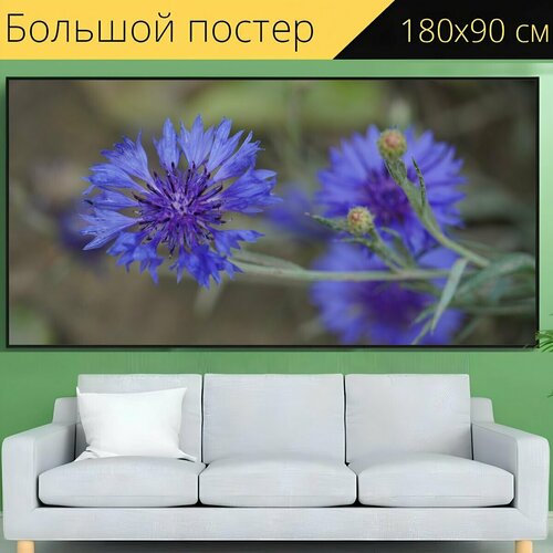 Большой постер "Синий, цветок, весна" 180 x 90 см. для интерьера