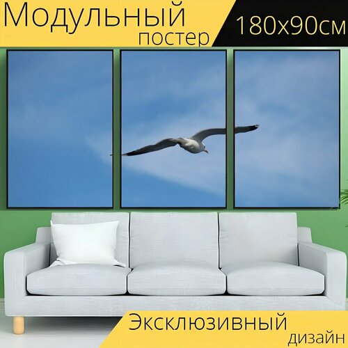 Модульный постер "Чайка, птица, морская птица" 180 x 90 см. для интерьера