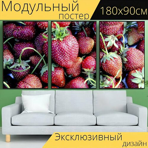 Модульный постер "Клубника, ягоды, фруктов" 180 x 90 см. для интерьера