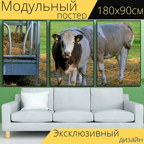 Модульный постер "Крупный рогатый скот, бычий, корова" 180 x 90 см. для интерьера