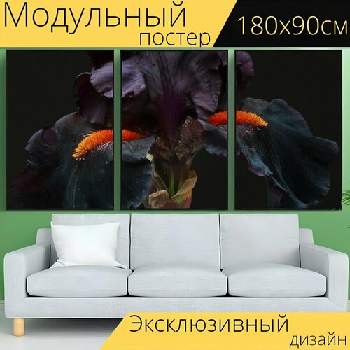 Модульный постер "Цвести, ботаника, цвет" 180 x 90 см. для интерьера