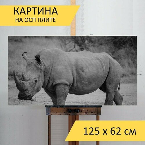 Картина на ОСП 125х62 см. "Носорог, сафари, млекопитающее" горизонтальная, для интерьера, с креплениями
