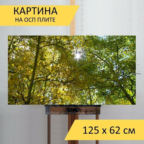 Картина на ОСП 125х62 см. "Деревья, солнце, лес" горизонтальная, для интерьера, с креплениями
