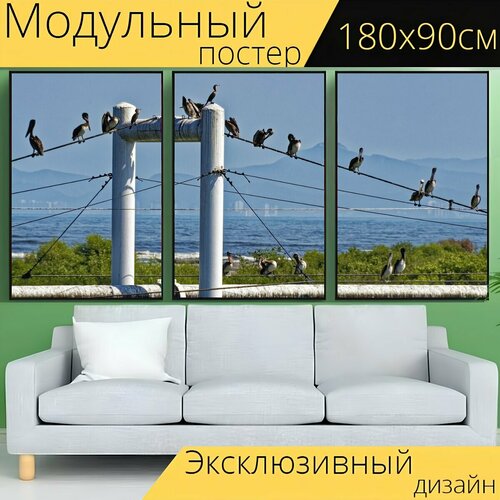 Модульный постер "Птицы, пеликаны, животные" 180 x 90 см. для интерьера