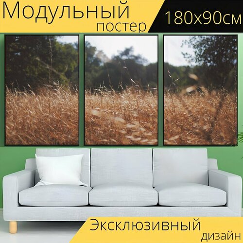 Модульный постер "Сухой, трава, природа" 180 x 90 см. для интерьера