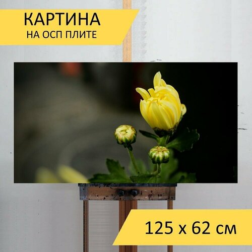 Картина на ОСП 125х62 см. "Хризантема, цветы, цветочный бутон" горизонтальная, для интерьера, с креплениями