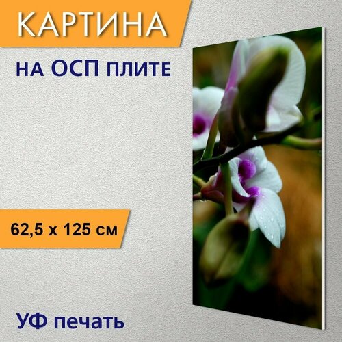 Вертикальная картина на ОСП "Орхидея, фиолетовый, белый" 62x125 см. для интерьериа