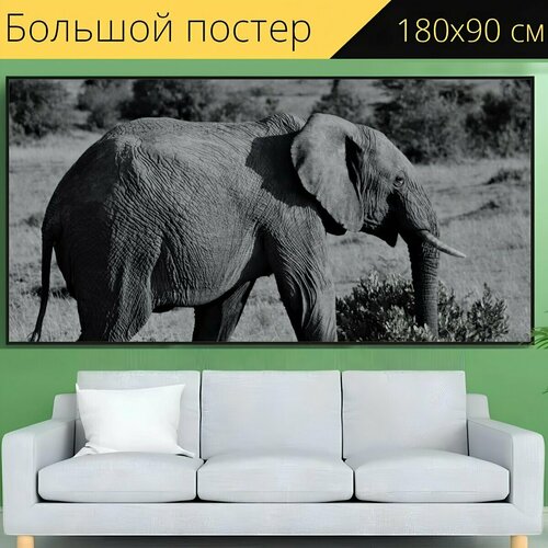 Большой постер "Слон, сафари, африка" 180 x 90 см. для интерьера