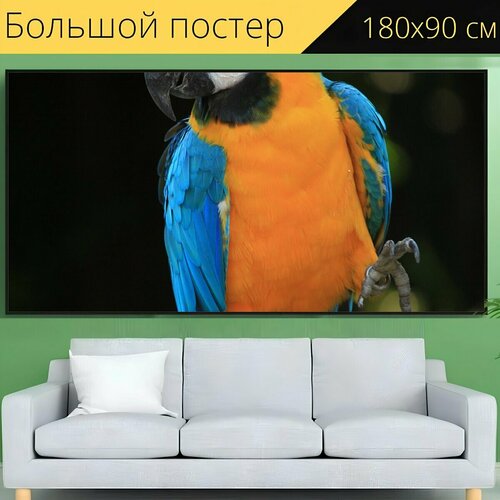 Большой постер "Синий и желтый ара, ара, птица" 180 x 90 см. для интерьера