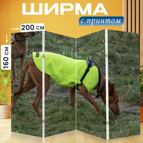 Ширма перегородка с принтом "Собака, млекопитающее, животное" на холсте - 200x160 см. для зонирования, раскладная