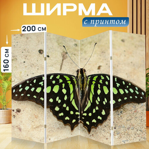 Ширма перегородка с принтом "Зеленая малахитовая бабочка, зеленый, оранжерея бабочек ниагара" на холсте - 200x160 см. для зонирования, раскладная