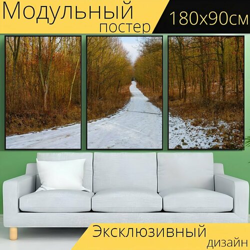 Модульный постер "Способ, лес, снежно" 180 x 90 см. для интерьера