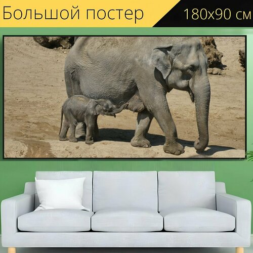 Большой постер "Слон с мальчиком, молодой слон, зоопарк" 180 x 90 см. для интерьера