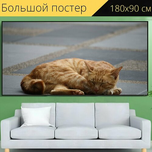 Большой постер "Кошка, домашний питомец, животное" 180 x 90 см. для интерьера