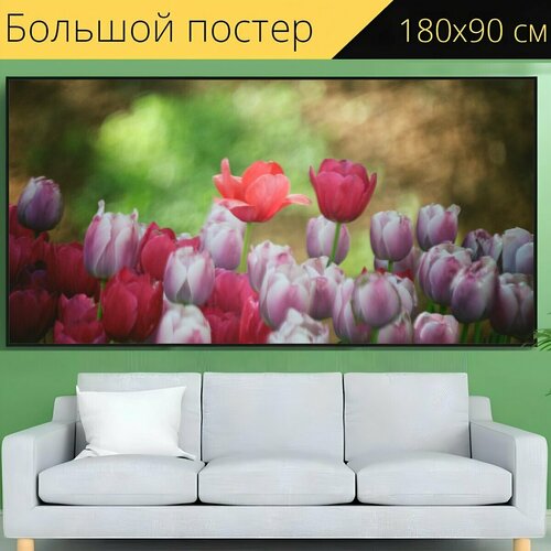 Большой постер "Тюльпаны, цветы, флора" 180 x 90 см. для интерьера