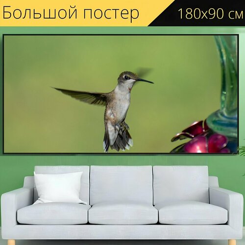Большой постер "Птица, природа, колибри" 180 x 90 см. для интерьера