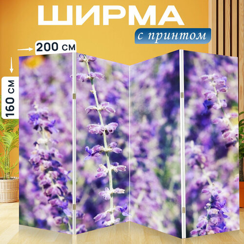 Ширма перегородка с принтом "Лаванда, фиолетовый цветок, травы" на холсте - 200x160 см. для зонирования, раскладная