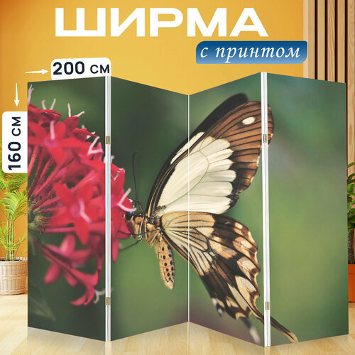 Ширма перегородка с принтом "Бабочка, тропические бабочки, экзотика" на холсте - 200x160 см. для зонирования, раскладная