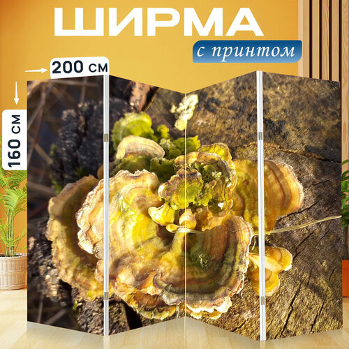 Ширма перегородка с принтом "Древесина, деревянный цветок, природа" на холсте - 200x160 см. для зонирования, раскладная