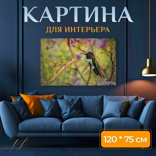 Картина на холсте "Колибри, птица, природа" на подрамнике 120х75 см. для интерьера