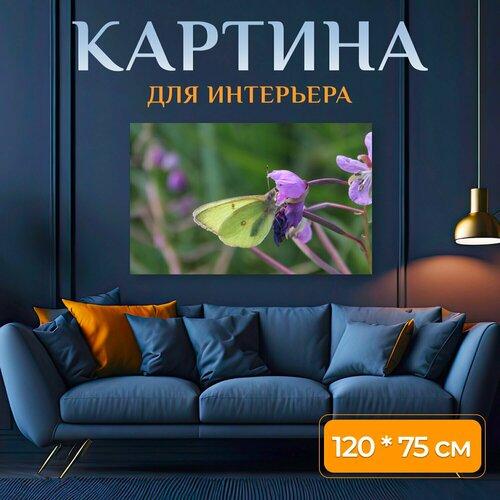 Картина на холсте "Бабочка, цветок, насекомые" на подрамнике 120х75 см. для интерьера