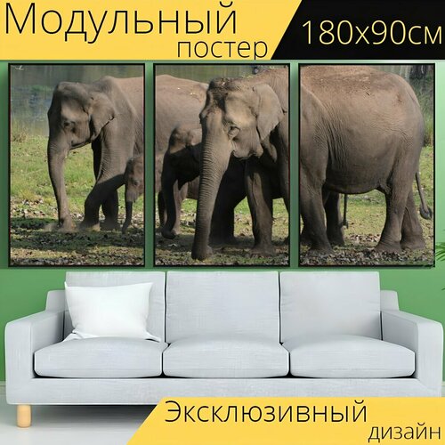 Модульный постер "Лес, слоны, табуны" 180 x 90 см. для интерьера
