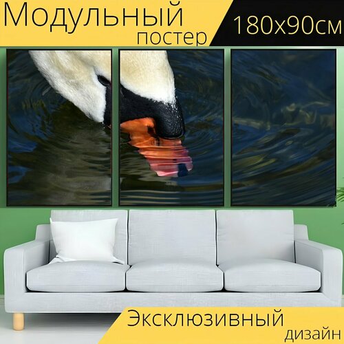 Модульный постер "Лебедь, элегантный, благородный" 180 x 90 см. для интерьера