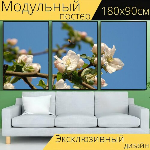 Модульный постер "Весна, яблоневый цвет, яблоня" 180 x 90 см. для интерьера