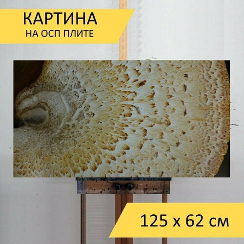Картина на ОСП 125х62 см. "Гриб, грибы, грибок" горизонтальная, для интерьера, с креплениями
