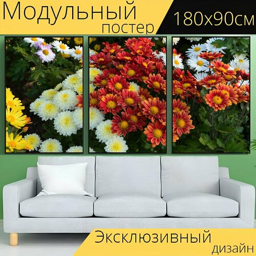 Модульный постер "Цветок, живые цветы, яркий цвет" 180 x 90 см. для интерьера