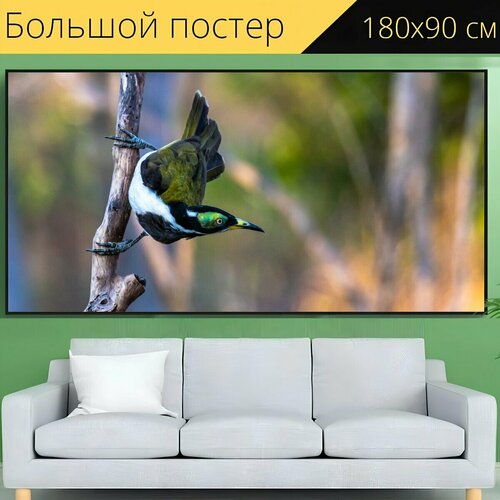 Большой постер "Птицы, хищник, дикая природа" 180 x 90 см. для интерьера