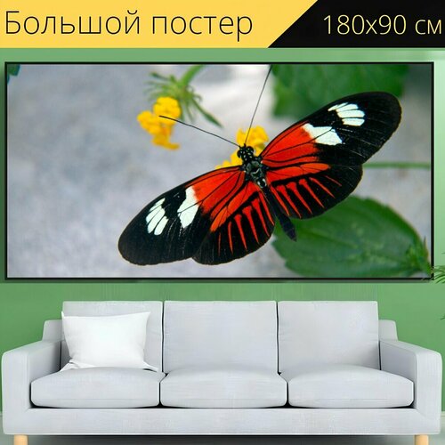 Большой постер "Бабочка, природа, апельсин" 180 x 90 см. для интерьера