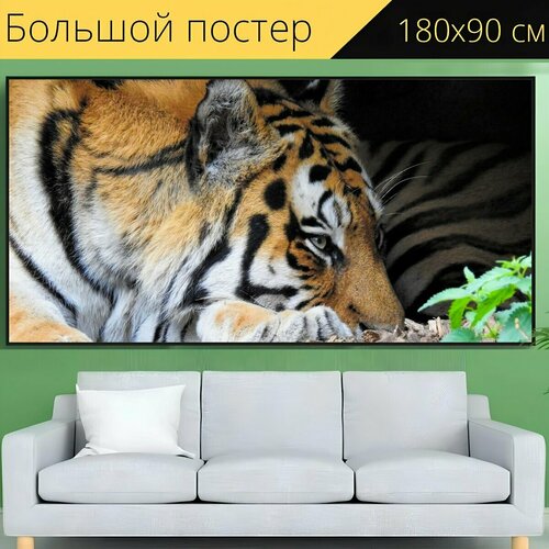 Большой постер "Тигр, сибирский тигр, большой кот" 180 x 90 см. для интерьера