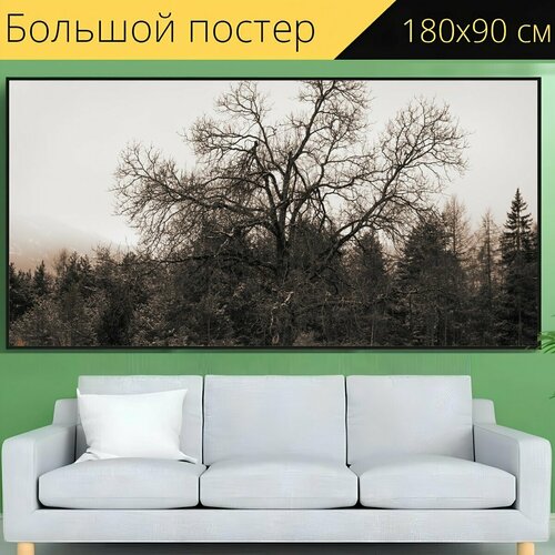 Большой постер "Лес, деревья, природа" 180 x 90 см. для интерьера