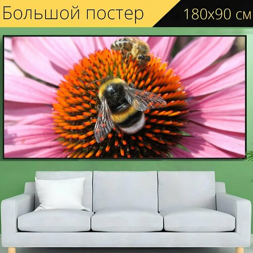 Большой постер "Эхинацея, цветок, пчела" 180 x 90 см. для интерьера
