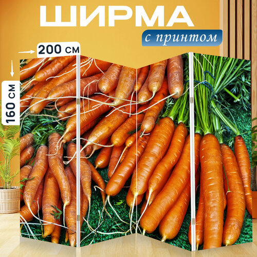Ширма перегородка с принтом "Морковь, желтоватый, желтая репа" на холсте - 200x160 см. для зонирования, раскладная