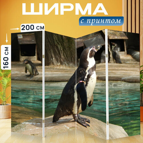 Ширма перегородка с принтом "Пингвин, животное, природа" на холсте - 200x160 см. для зонирования, раскладная