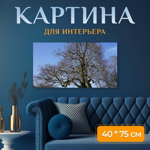 Картина на холсте "Липа, природа, солнечный" на подрамнике 75х40 см. для интерьера