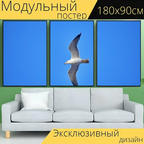 Модульный постер "Чайка, птица, в" 180 x 90 см. для интерьера