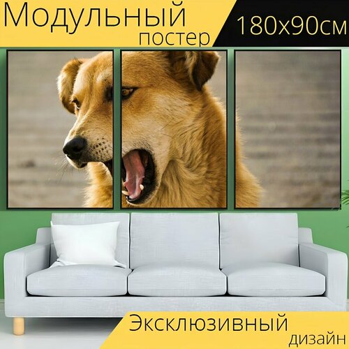 Модульный постер "Собака, собачий, лай" 180 x 90 см. для интерьера
