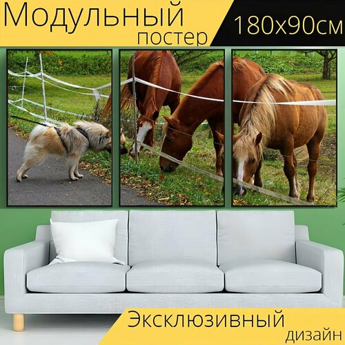 Модульный постер "Собака, лошади, встреча" 180 x 90 см. для интерьера