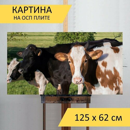 Картина на ОСП 125х62 см. "Коровы, молочных коров, бычий" горизонтальная, для интерьера, с креплениями