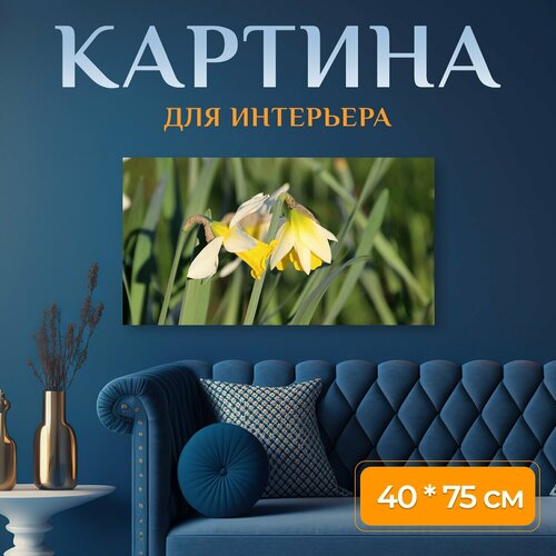Картина на холсте "Весна, цветок, жёлтый" на подрамнике 75х40 см. для интерьера