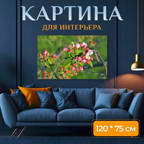 Картина на холсте "Цветы, весна, природа" на подрамнике 120х75 см. для интерьера