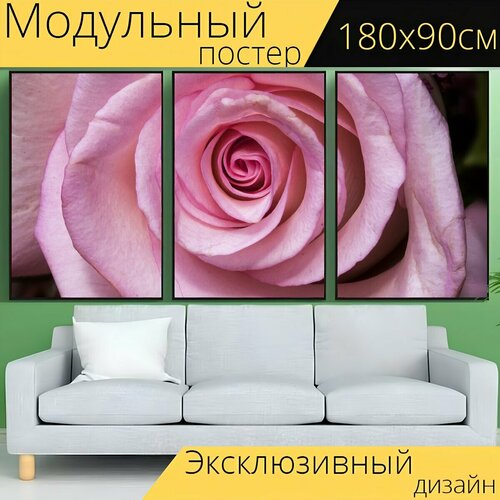Модульный постер "Роза, макрос, цветок" 180 x 90 см. для интерьера