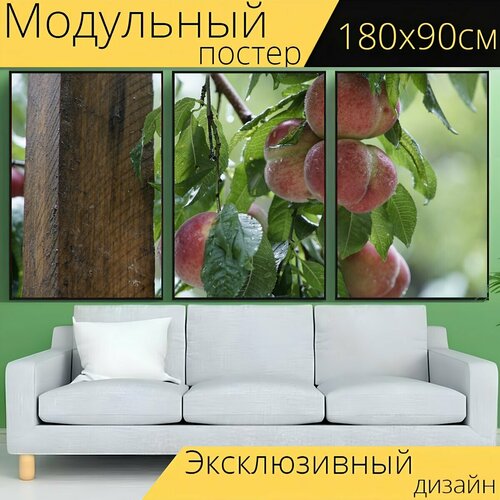 Модульный постер "Дерево, фрукты, персики" 180 x 90 см. для интерьера