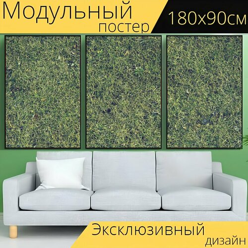 Модульный постер "Трава, лужайка, площадка" 180 x 90 см. для интерьера