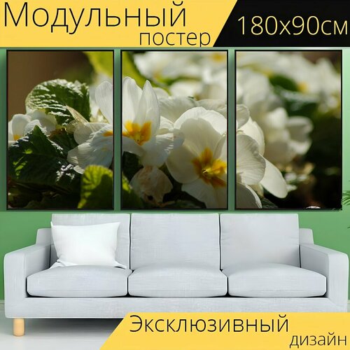 Модульный постер "Цветы, белые цветы, весна" 180 x 90 см. для интерьера